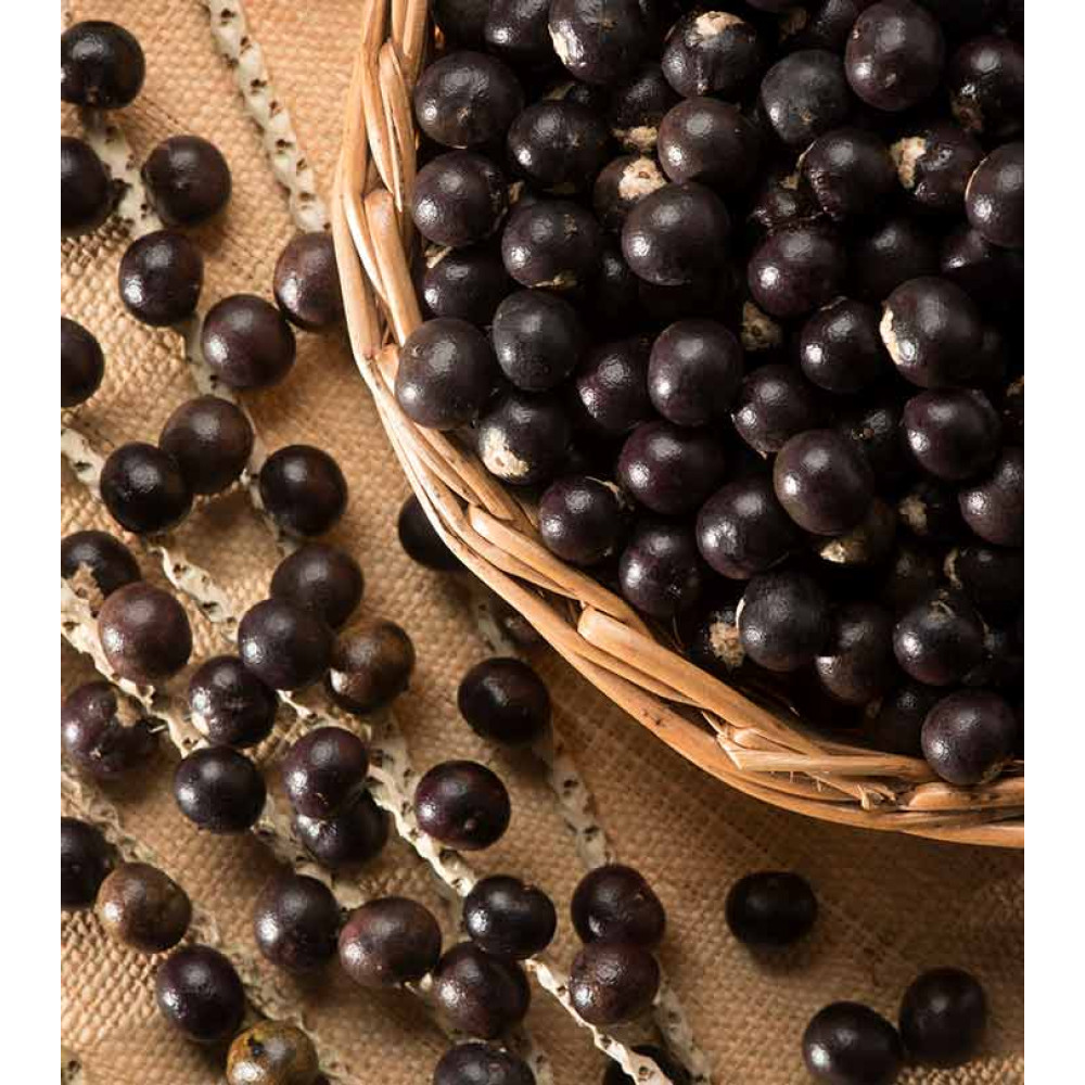 Everyday Health Acai Berry Extract Super Antioxidant 60 Capsules ...