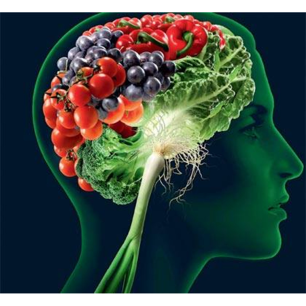Cognition FX 60 Tablets - Sanderson | HealthPorter NZ
