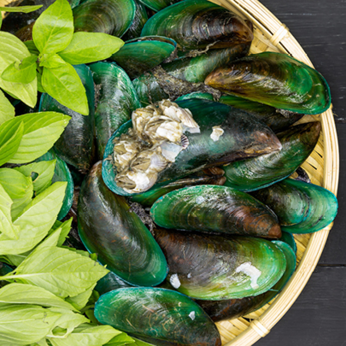 Green-Lipped Mussel 20,000mg - Sanderson | HealthPorter NZ
