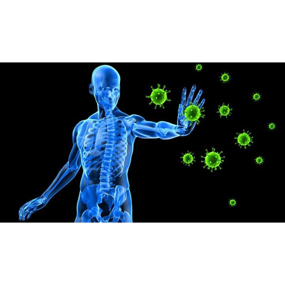 Pro-Immune FX 120 Capsules | Sanderson - HealthPorter NZ